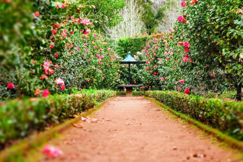 City Centre Bahrain Extends Hours Fantasy Garden Attraction